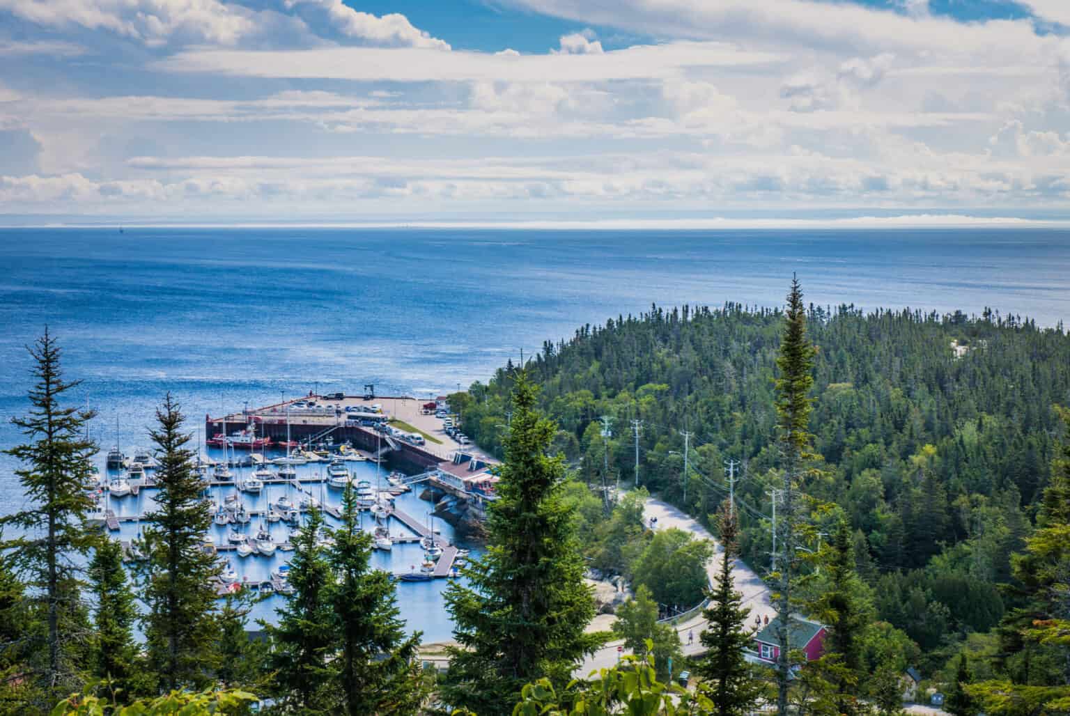 Baleines à Tadoussac : excursions, prix, infos & mes conseils