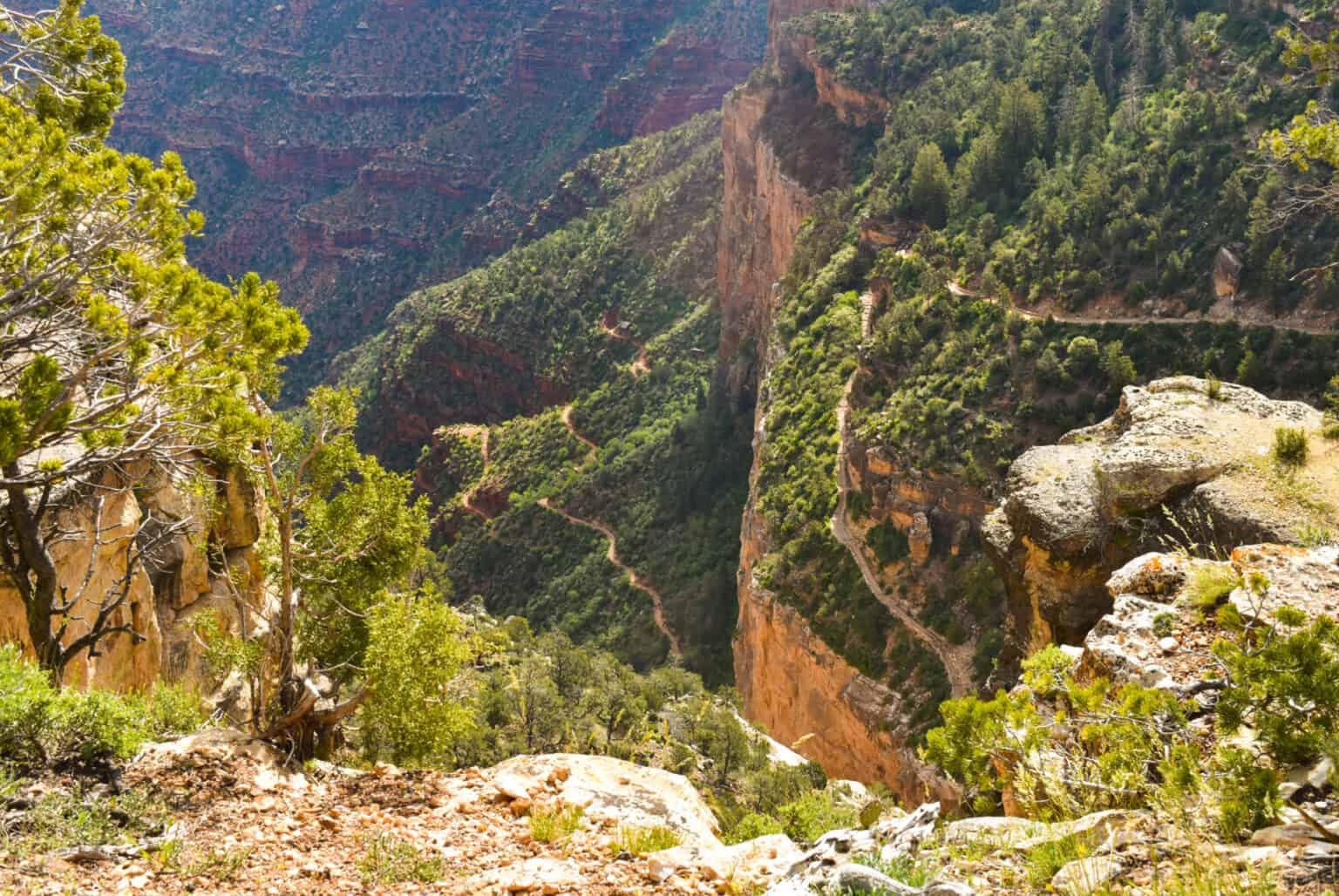 Visiter le Grand Canyon : les plus belles choses à voir et à faire