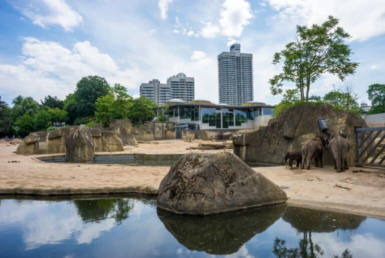 Que faire à Cologne ? Top 11 des meilleures activités et visites