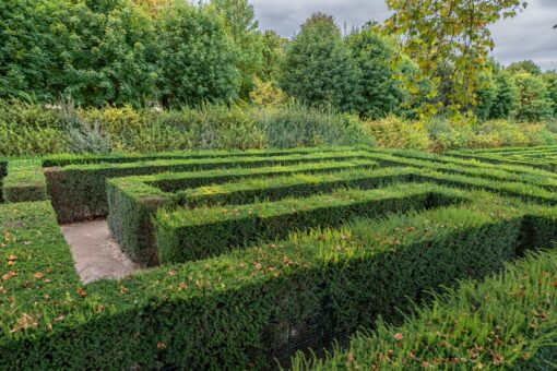 Château de Schönbrunn à Vienne : guide pratiquer pour la visite