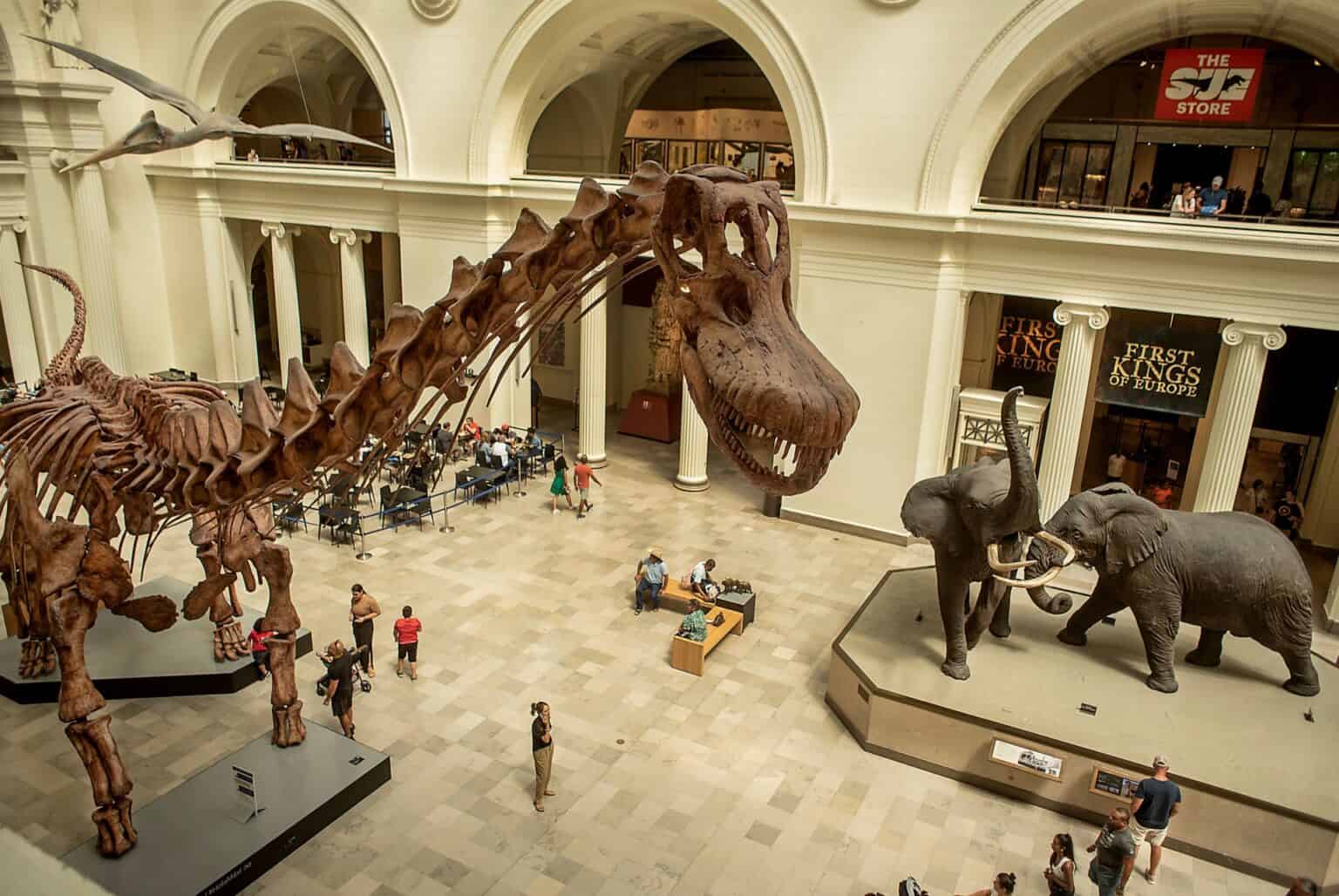 Que faire à Chicago : Mon top 15 des activités incontournables