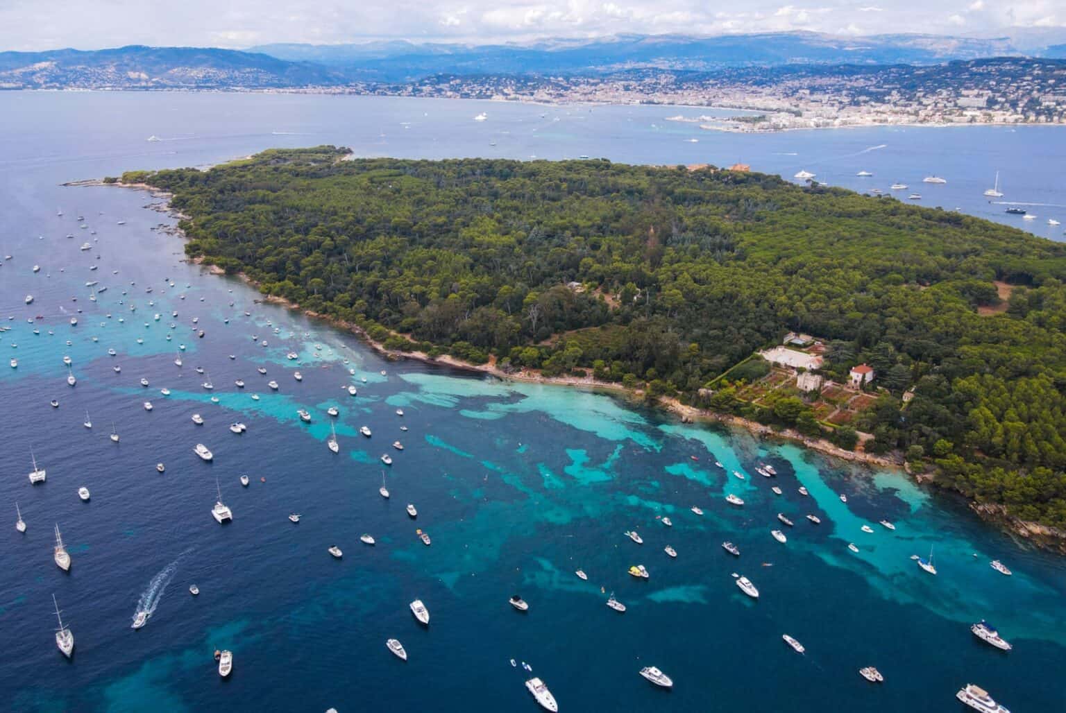 Visiter Cannes : une destination à découvrir toute l’année