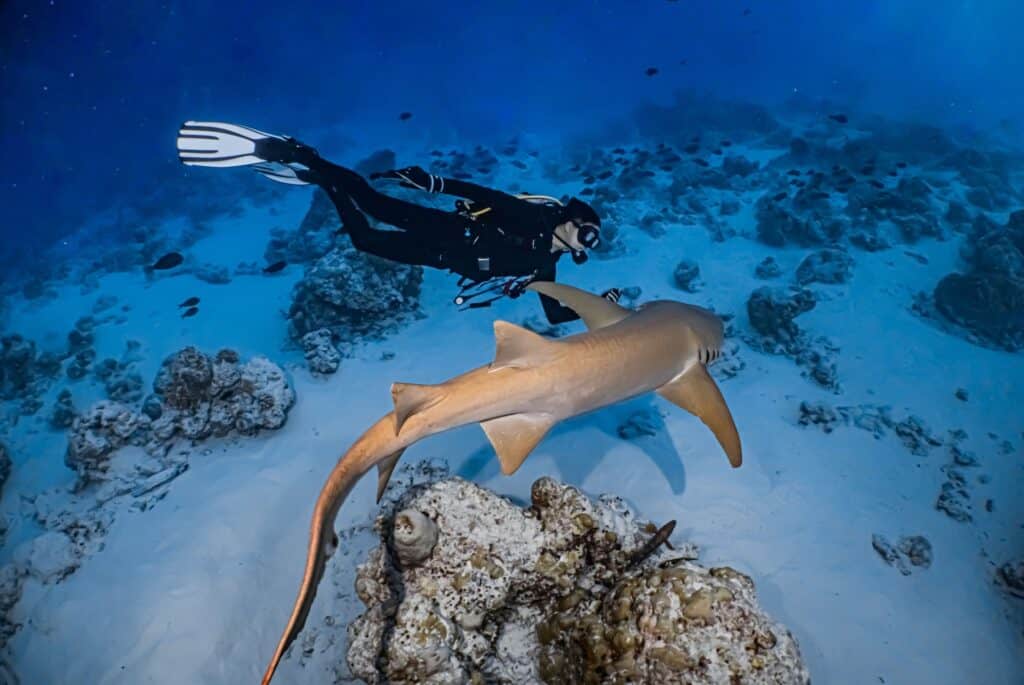 Que faire aux Maldives ? Découvrez les 11 meilleures activités