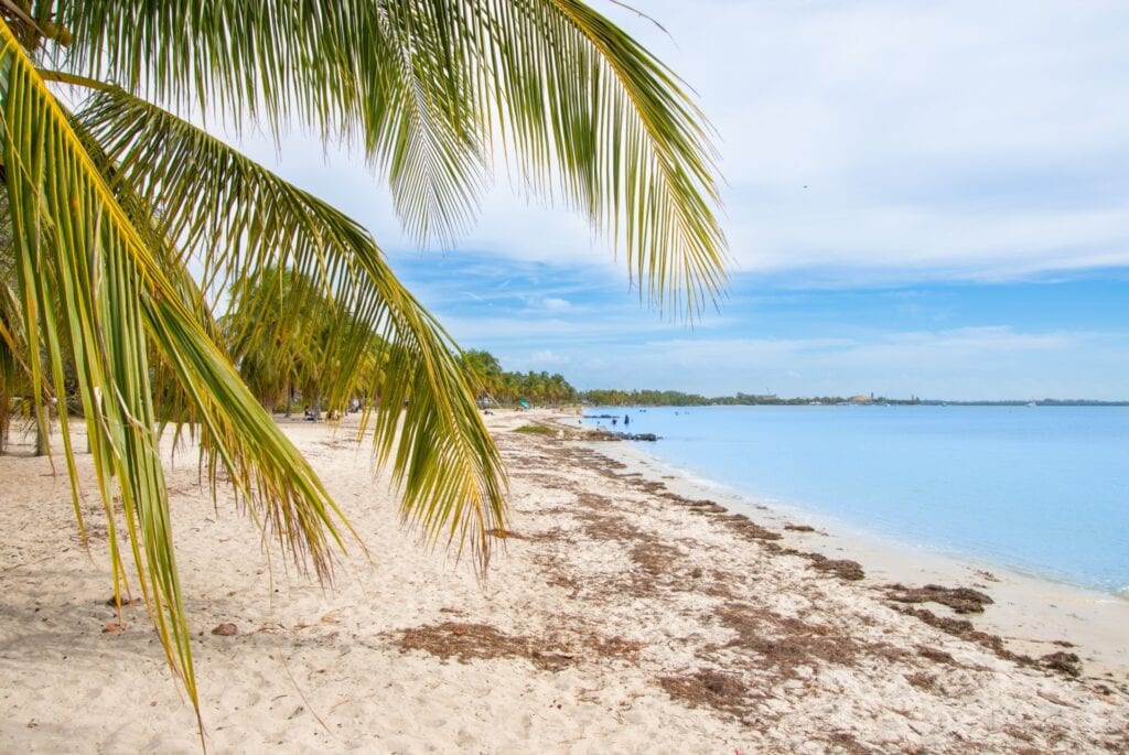 Les plus belles plages de Miami : mon top 8 des plages à découvrir