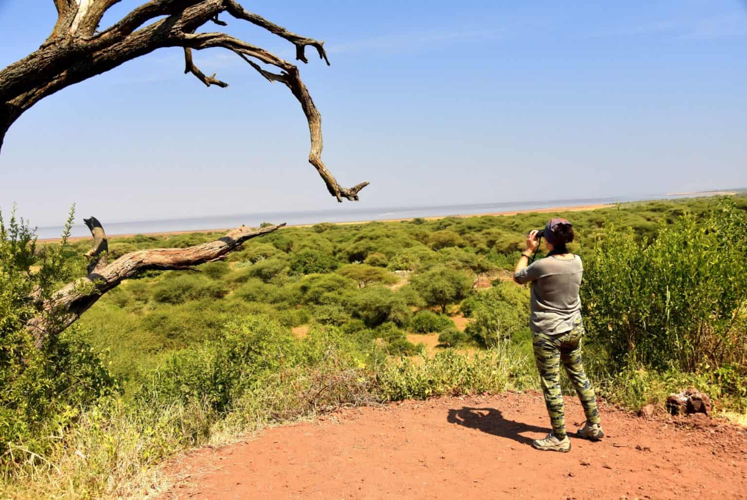 Safari en Tanzanie : quel parc choisir ? Quand partir ? Budget